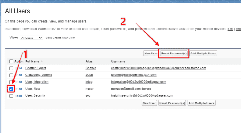 How To Reset A Salesforce User's Password [Screenshots]