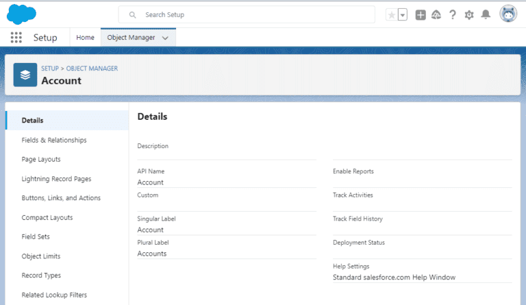 Everything You Need To Know About Salesforce Objects