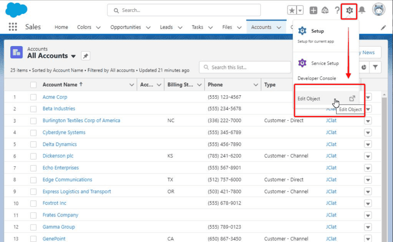 Everything You Need To Know About Salesforce Objects