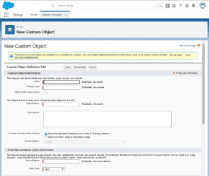 Everything You Need To Know About Salesforce Objects