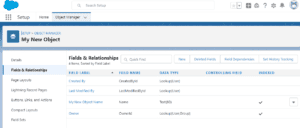 Everything You Need To Know About Salesforce Objects