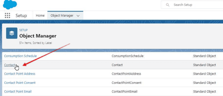 Everything You Need To Know About Salesforce Objects