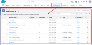 Everything You Need To Know About Salesforce Objects