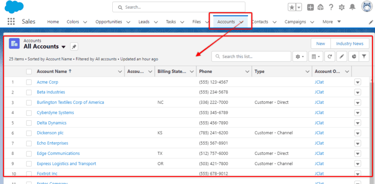 Everything You Need To Know About Salesforce Objects
