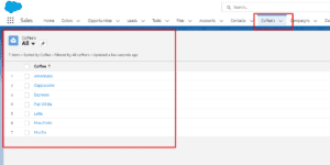 Everything You Need To Know About Salesforce Objects