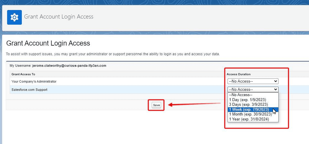 How To Grant Account Login Access To Salesforce [Screenshots]