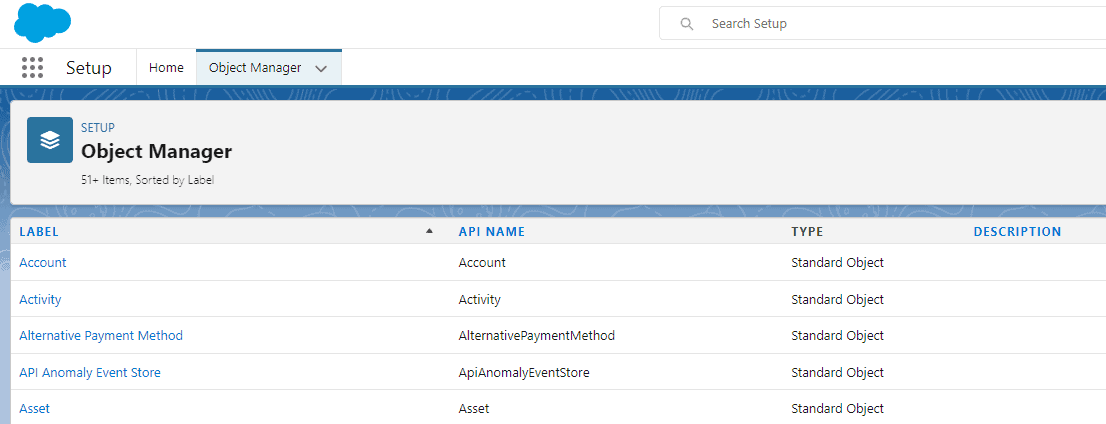 Everything You Need To Know About Salesforce Objects